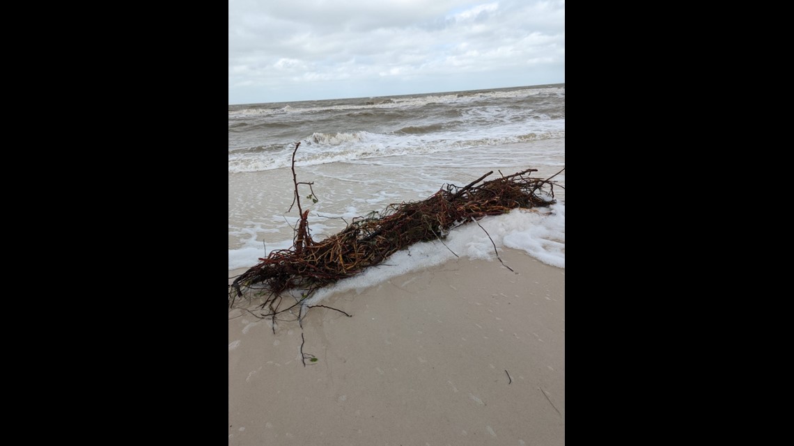 PHOTOS: Aftermath left behind in Naples, Florida following Hurricane ...