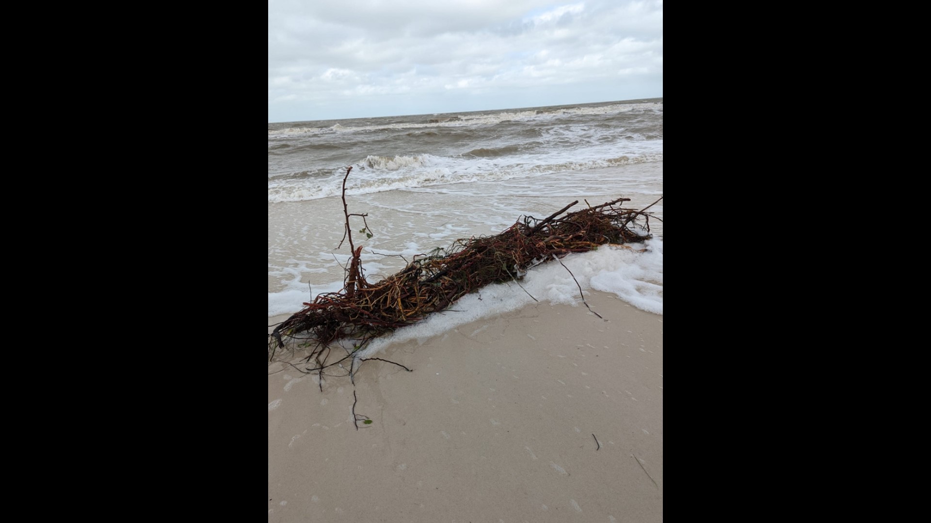 PHOTOS: Aftermath left behind in Naples, Florida following Hurricane ...