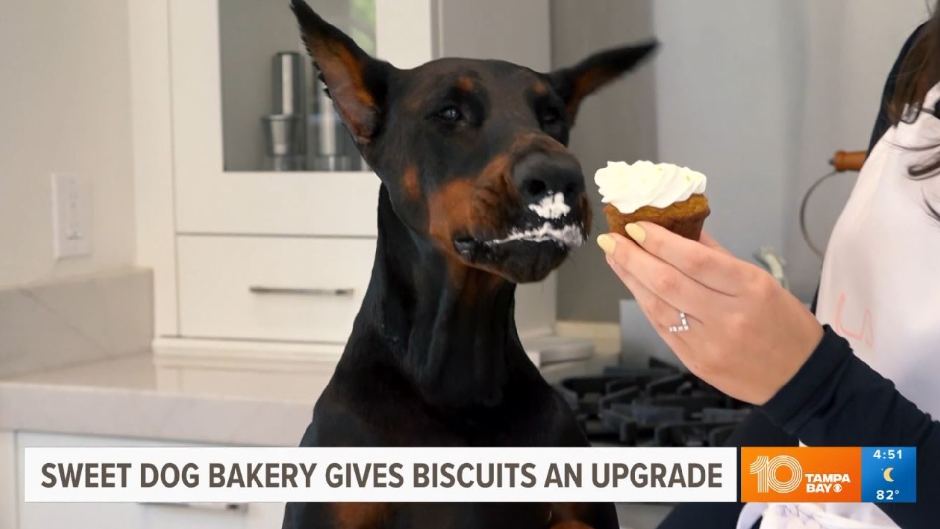 Looking for all-natural sweet treats for your pup? Check out Sweet Dog ...