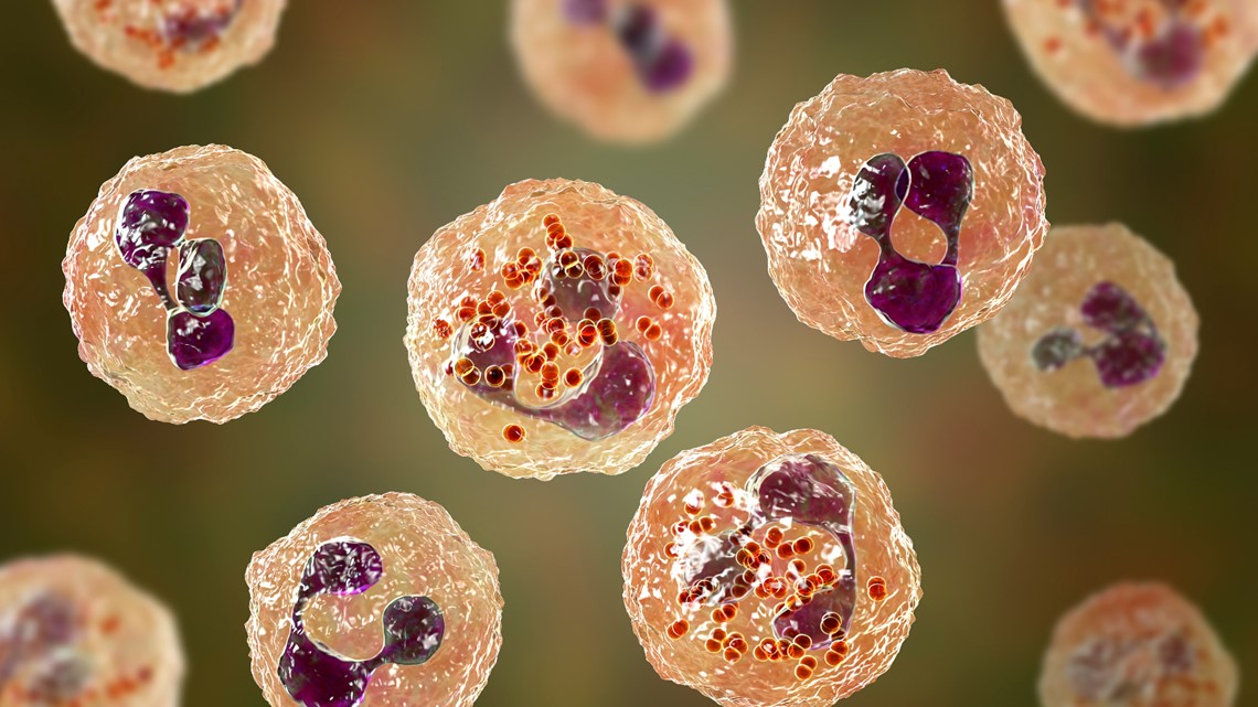 Meningococcal disease outbreak happening across Florida | wtsp.com