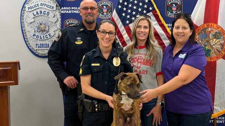Largo Police introduce new therapy K-9, Pension | wtsp.com