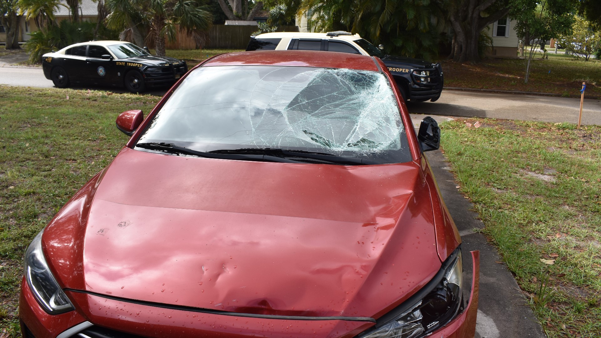 Deadly hit and run in Manatee County | wtsp.com