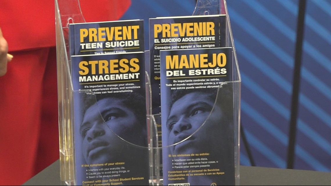 New mental health initiatives introduced in Hillsborough County | wtsp.com