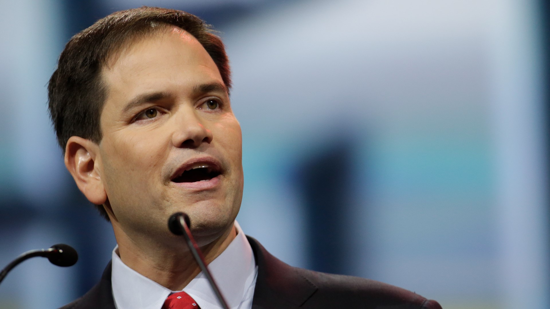 Sen. Marco Rubio introduces bill targeting critical race theory | wtsp.com