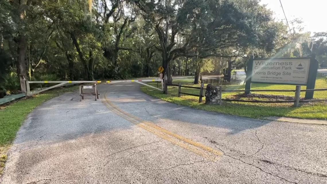Morris Bridge Road may close due to rising water levels | wtsp.com