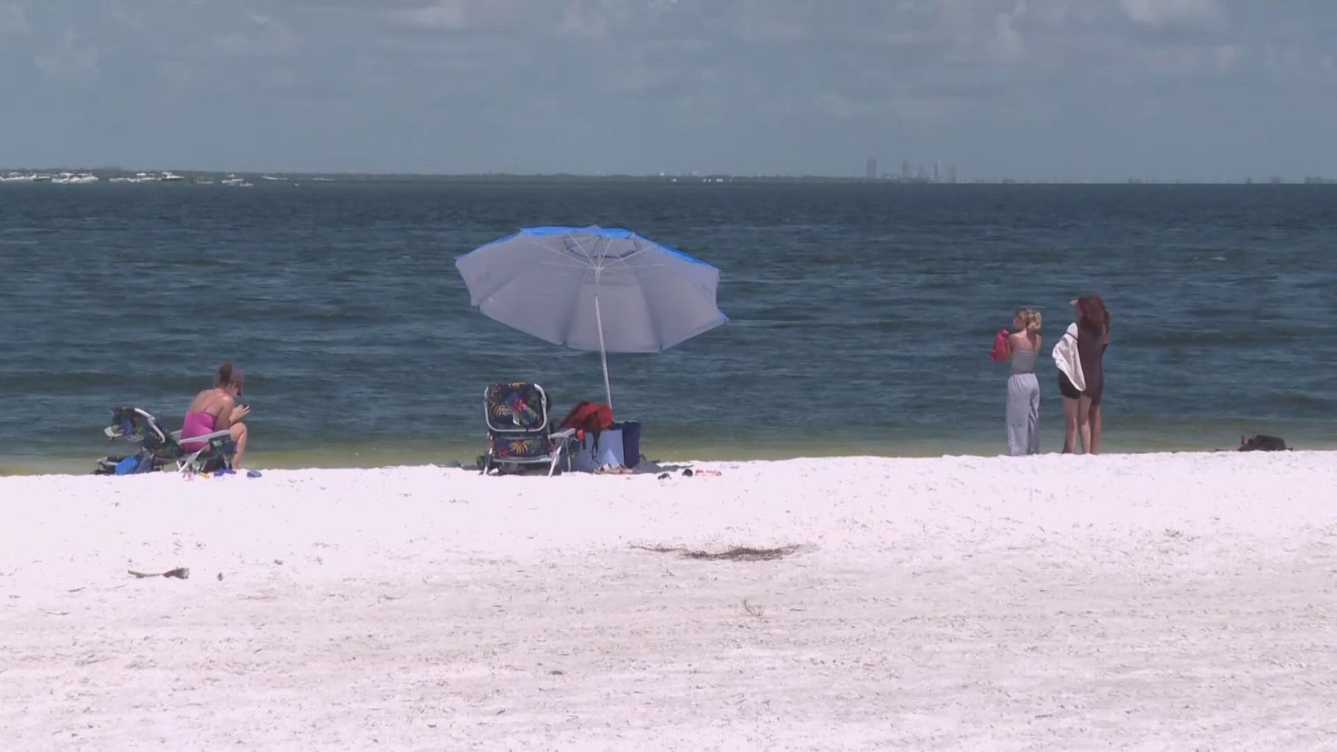 Body of missing swimmer believed to be found off Anna Maria Island ...