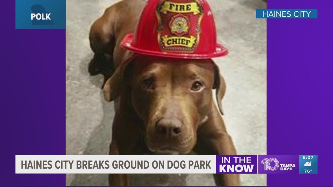 Haines City leaders plan to install 'Ember Dog Park' in memory of fire ...