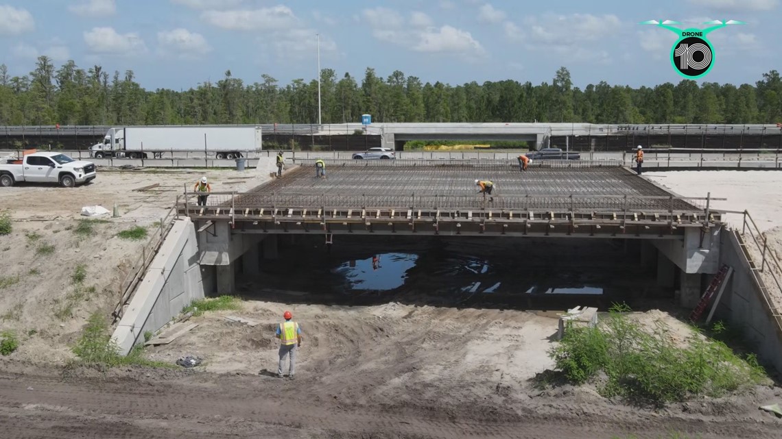 New Florida wildlife crossing allows animals to cross I-4 safely | wtsp.com