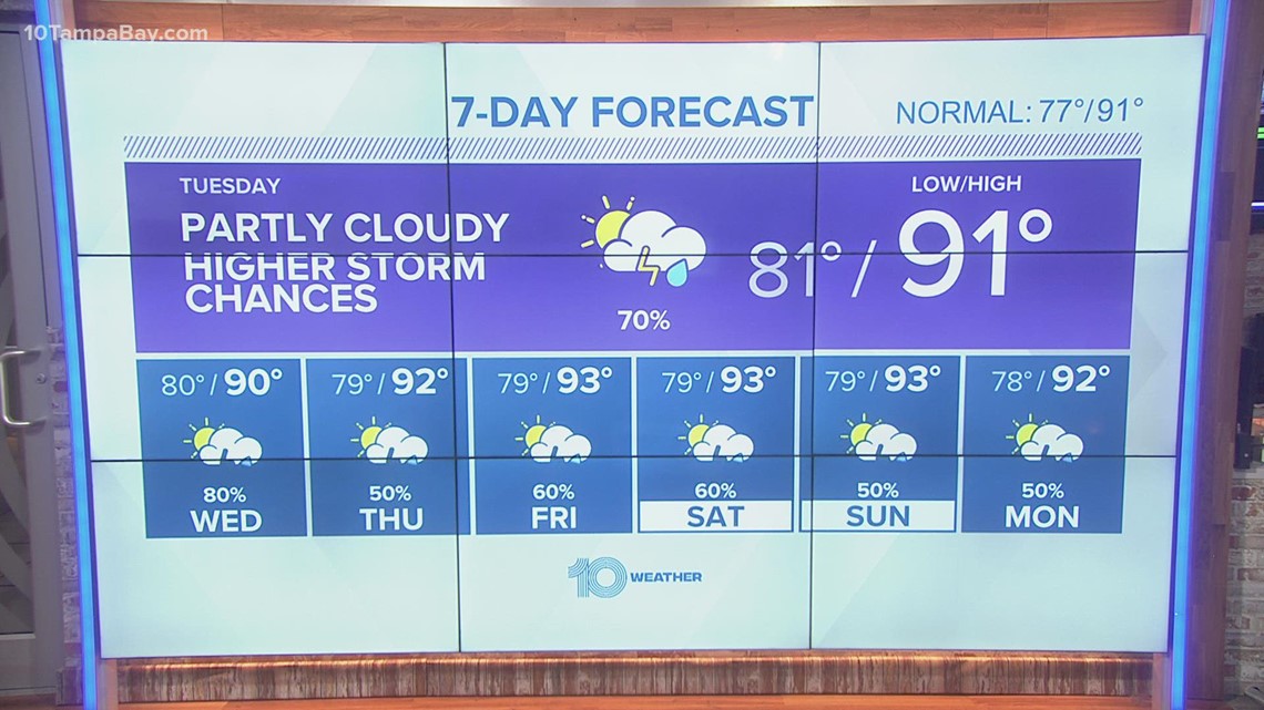 Chicken of the sea? Hen takes a dip at Indian Rocks Beach | wtsp.com