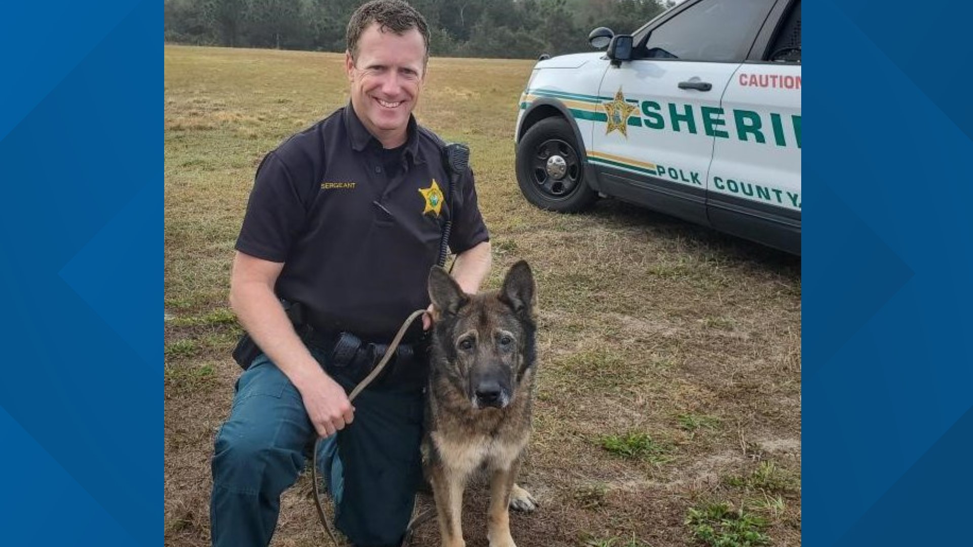 Polk County Sheriff's Office retired K-9 dies | wtsp.com