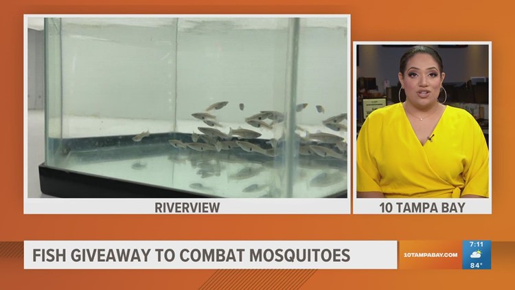 Researchers find high levels of COVID-19 in Florida wastewater | wtsp.com