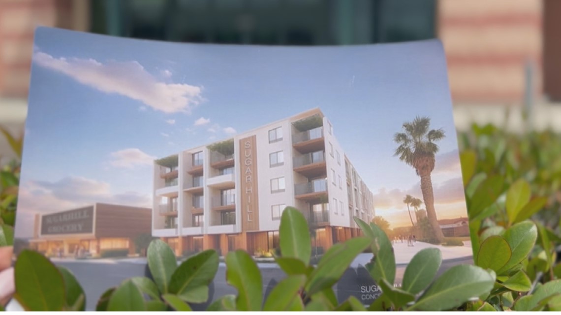 Sugar Hill development unveils plans for vacant St. Pete plaza | wtsp.com