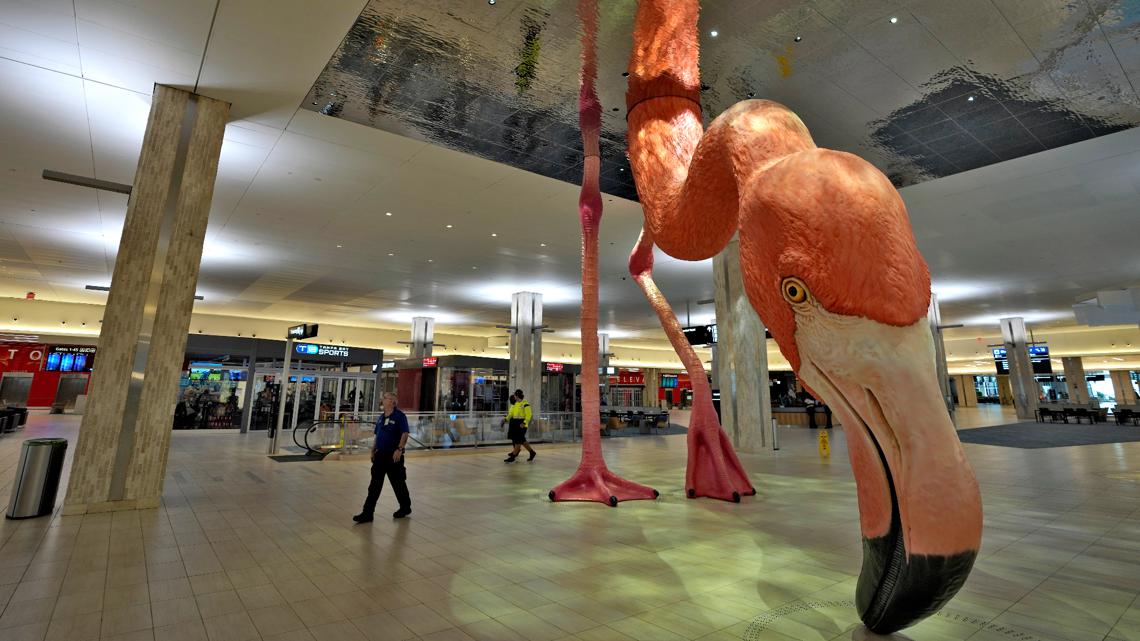 Social Security login email is real, asks you update your account ...