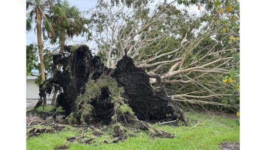 Hurricane Ian damage in Bradenton | wtsp.com
