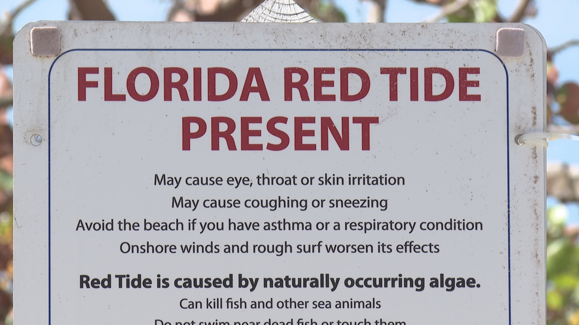 Red tide threatens businesses recovering from hurricanes | wtsp.com
