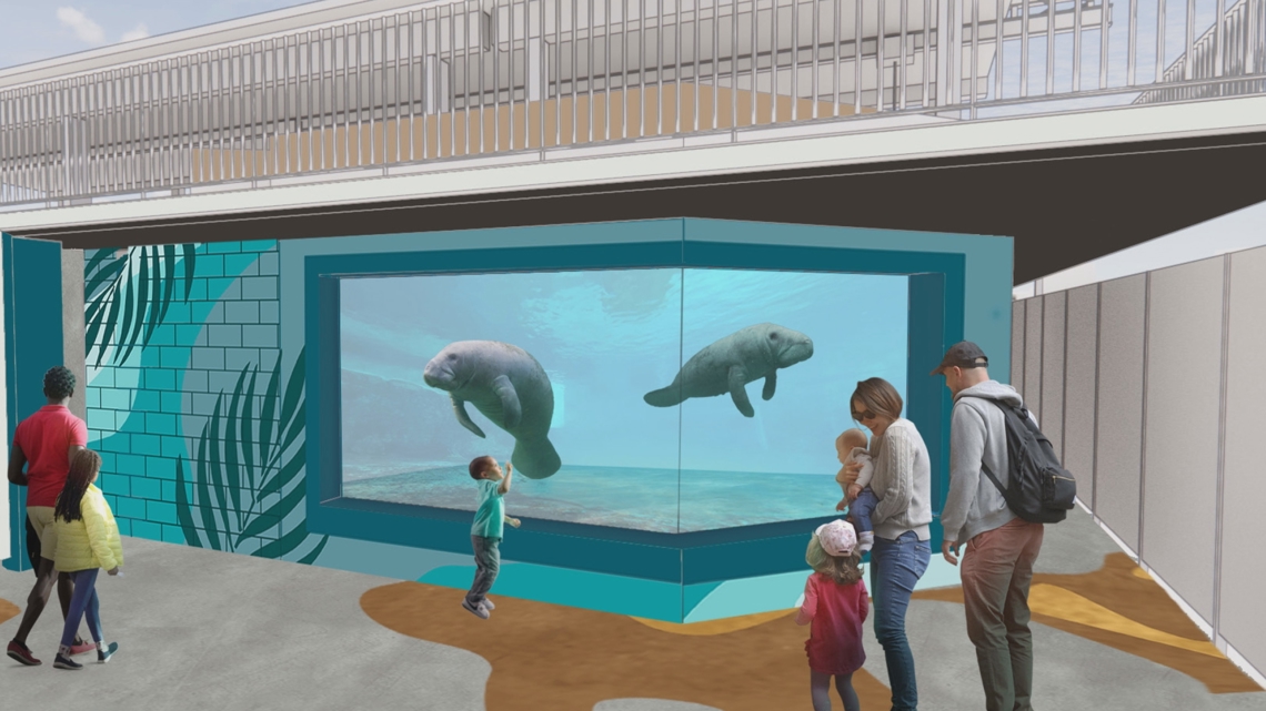 Manatee rehabilitation center coming to CMA | wtsp.com