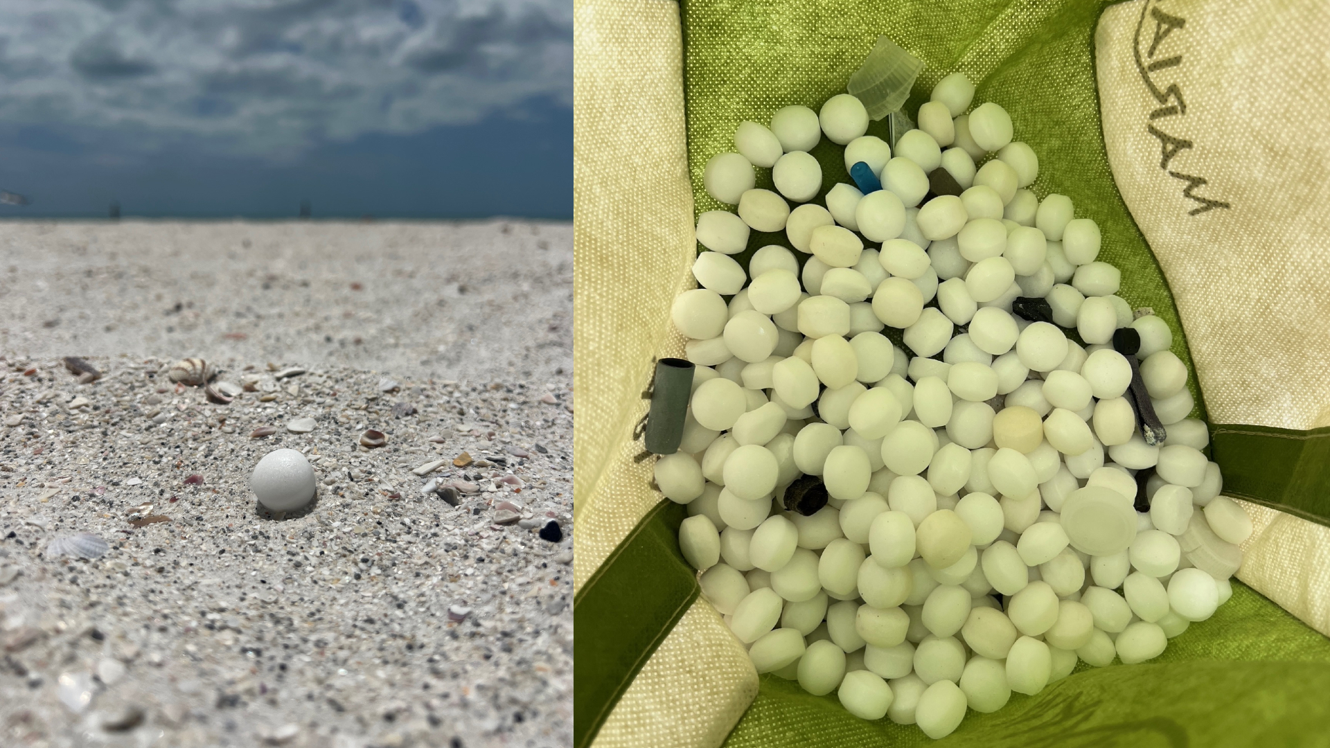 FWC investigating after hundreds of mothballs illegally placed on St ...