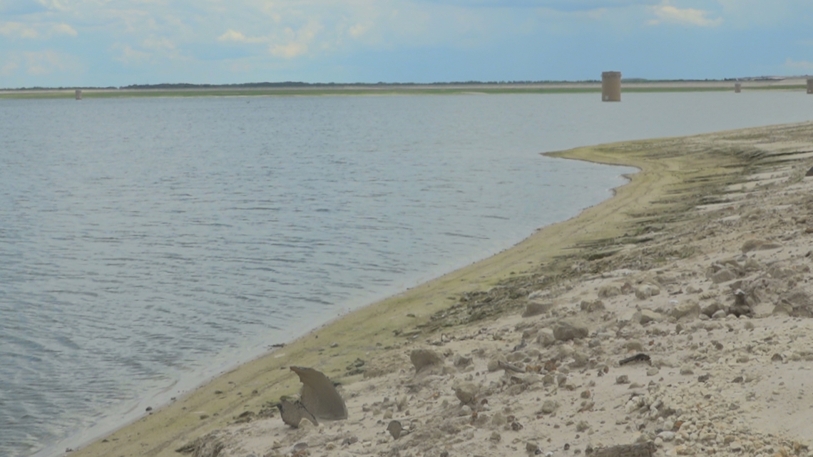 CW Bill Young Regional Reservoir affected by water shortage | wtsp.com