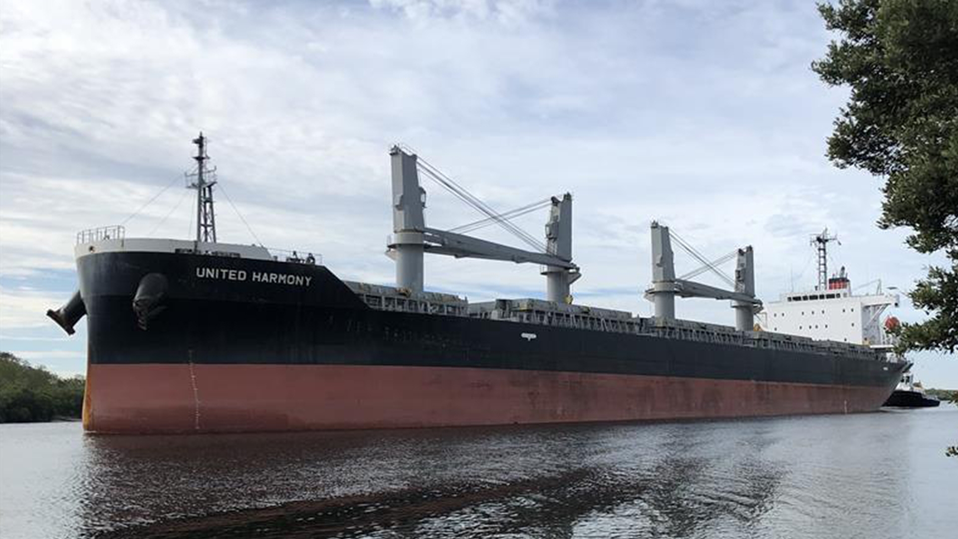 Tampa Bay harbor pilots navigate crucial shipments to the region | wtsp.com