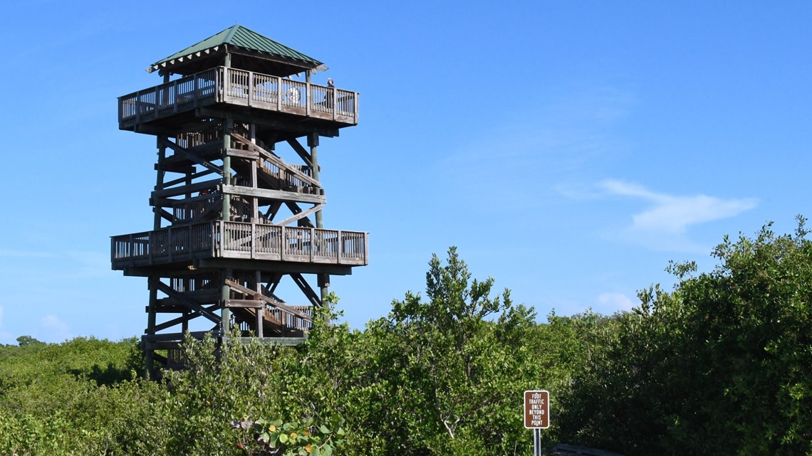 Robinson Nature Preserve earns honor from Tripadvisor | wtsp.com