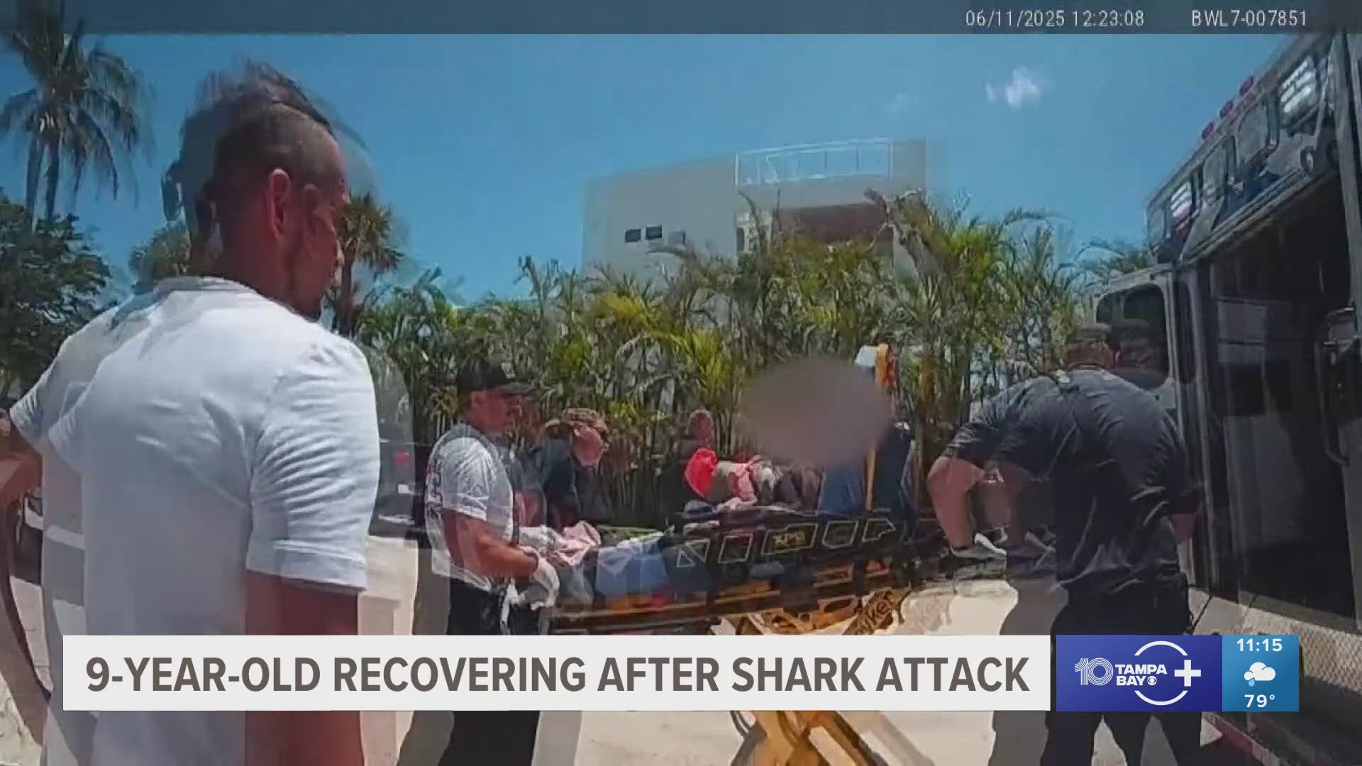 Girl bitten by shark shows progress in Tampa, Florida hospital | wtsp.com