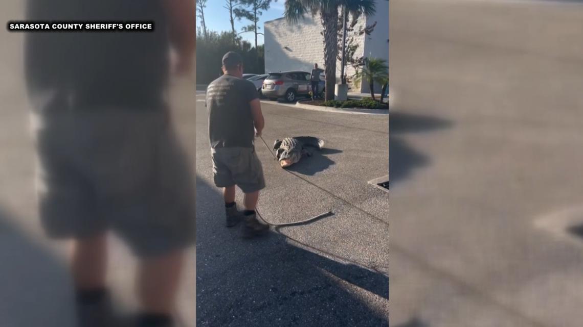 Hurricane Helene track, timeline: When did it hit Florida? | wtsp.com