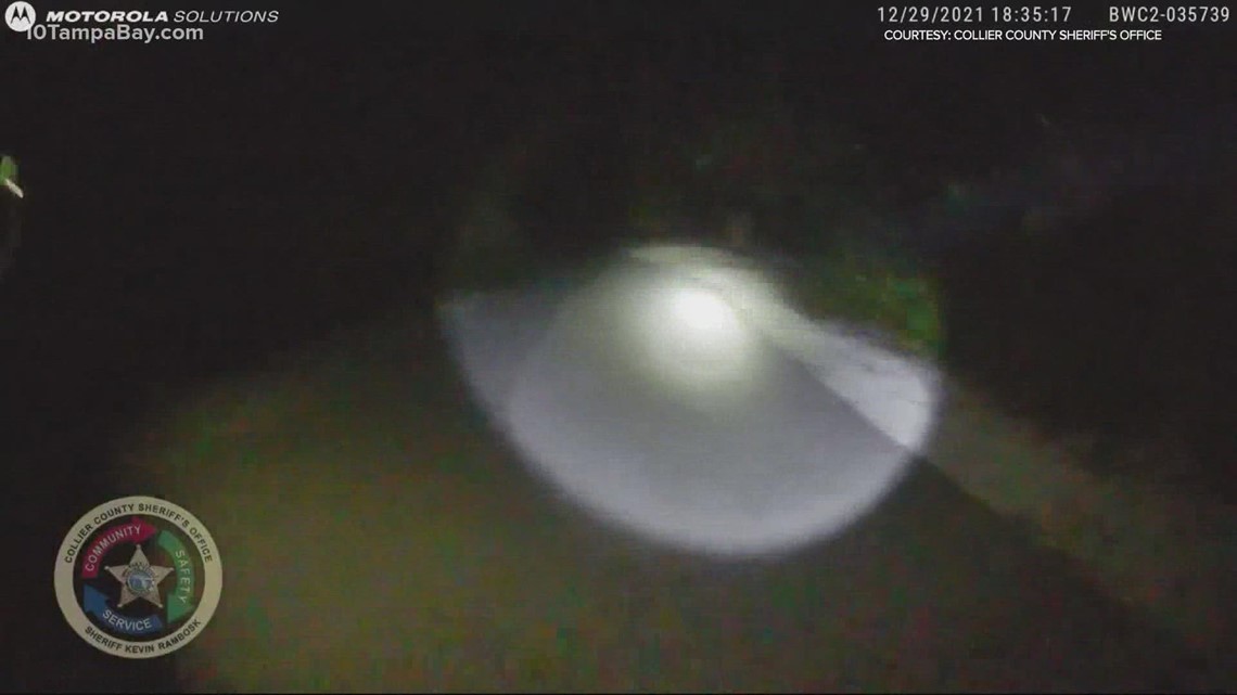 Tiger shot, killed after biting man's arm at Naples Zoo | wtsp.com