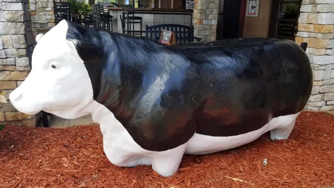 NYC steakhouse offers $1,000 reward for missing St. Petersburg cow ...