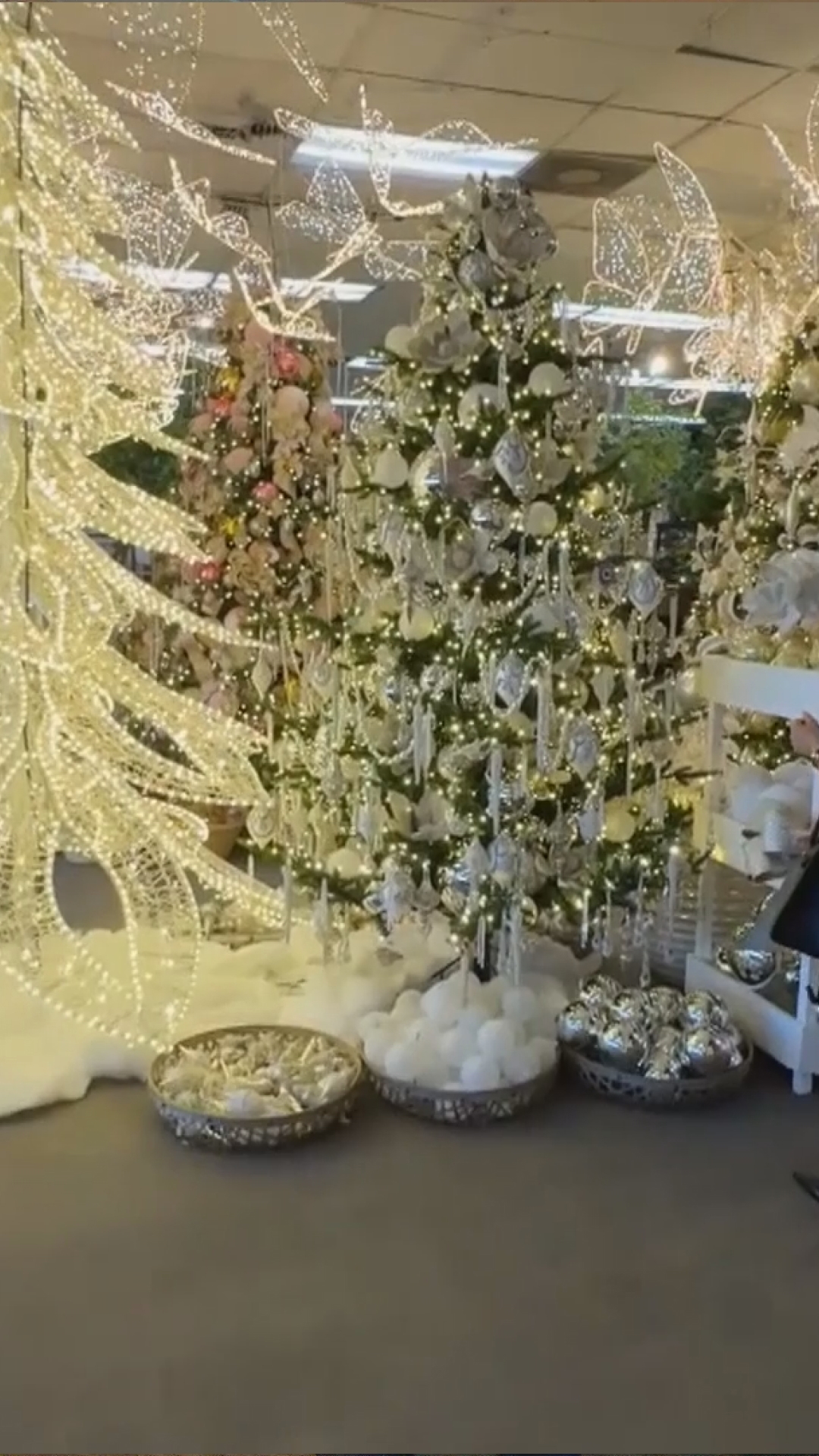 Are tariffs increasing the price of Christmas trees? | wtsp.com