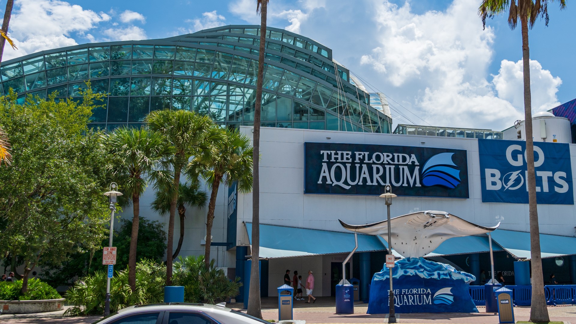 Hurricane Helene forces Florida Aquarium closure | wtsp.com