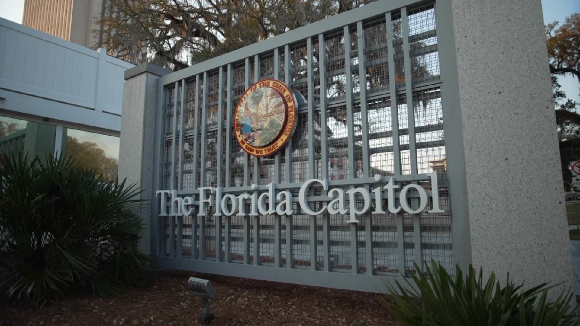 Insurance investigation by Florida government draws criticism after ...