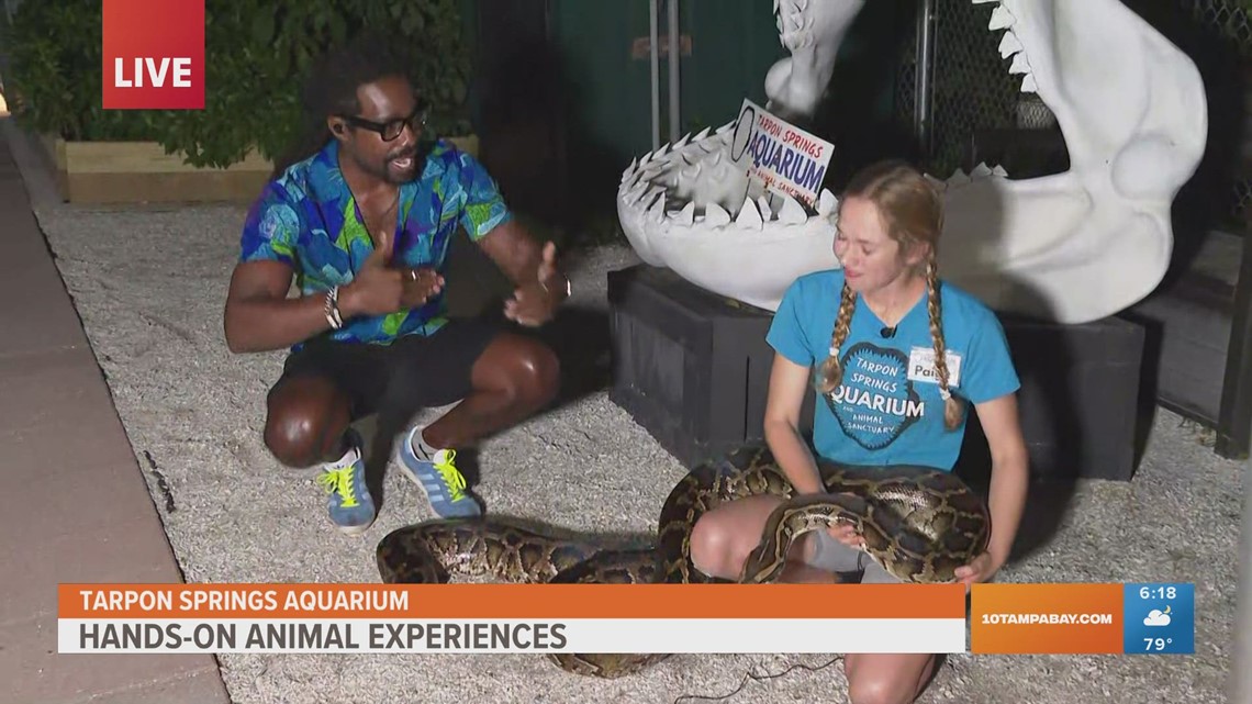 Tarpon Spring Aquarium offers hands-on animal experiences for guests ...