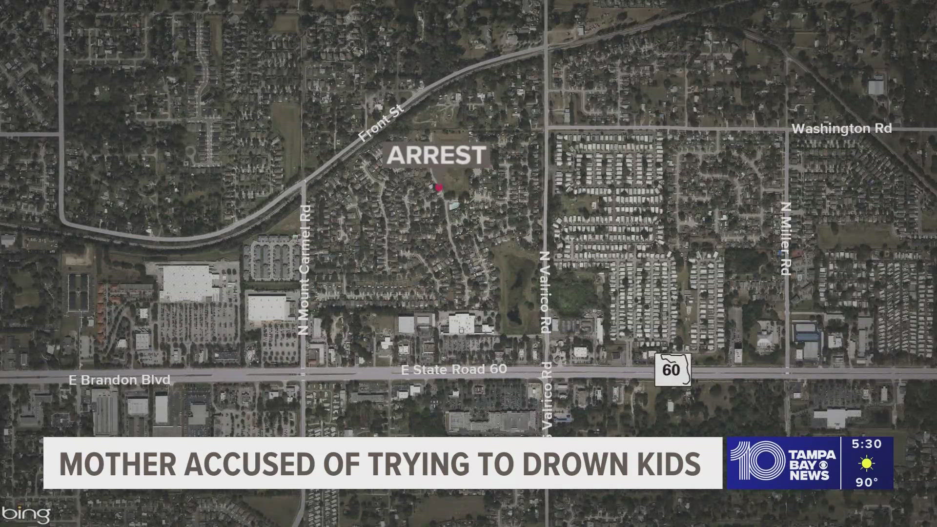 Valrico mother arrested for trying to drown her 3 children in pool ...