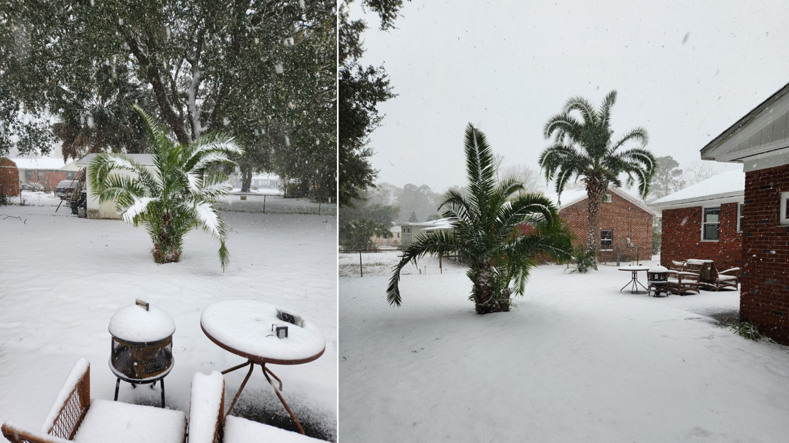 Snow recorded in Pensacola, Fla. on Jan. 21, 2025 | wtsp.com