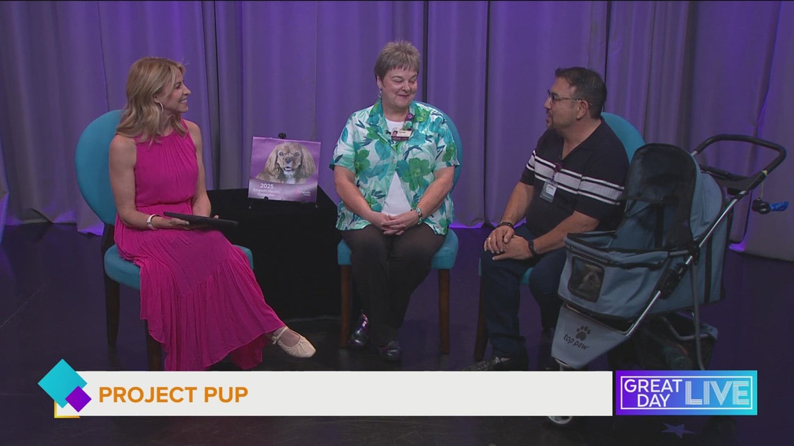 Biscuit the therapy dog | wtsp.com