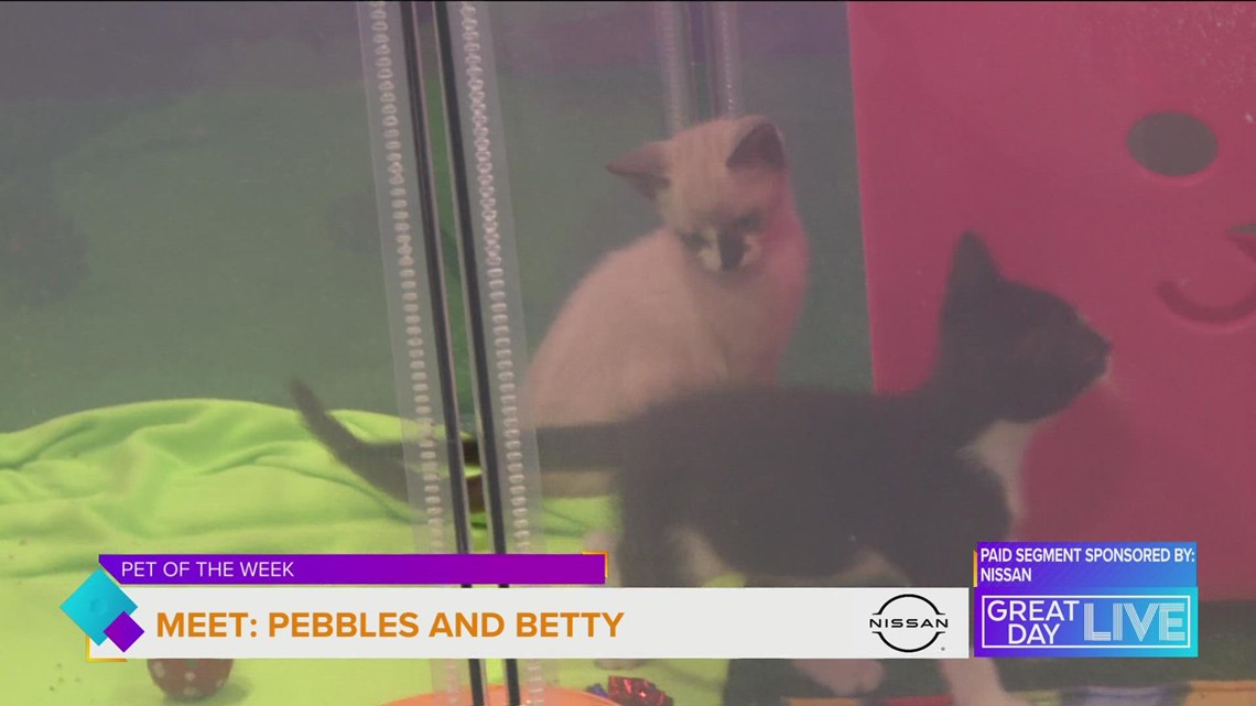 Pet of the week: Meet Peebles and Betty | wtsp.com