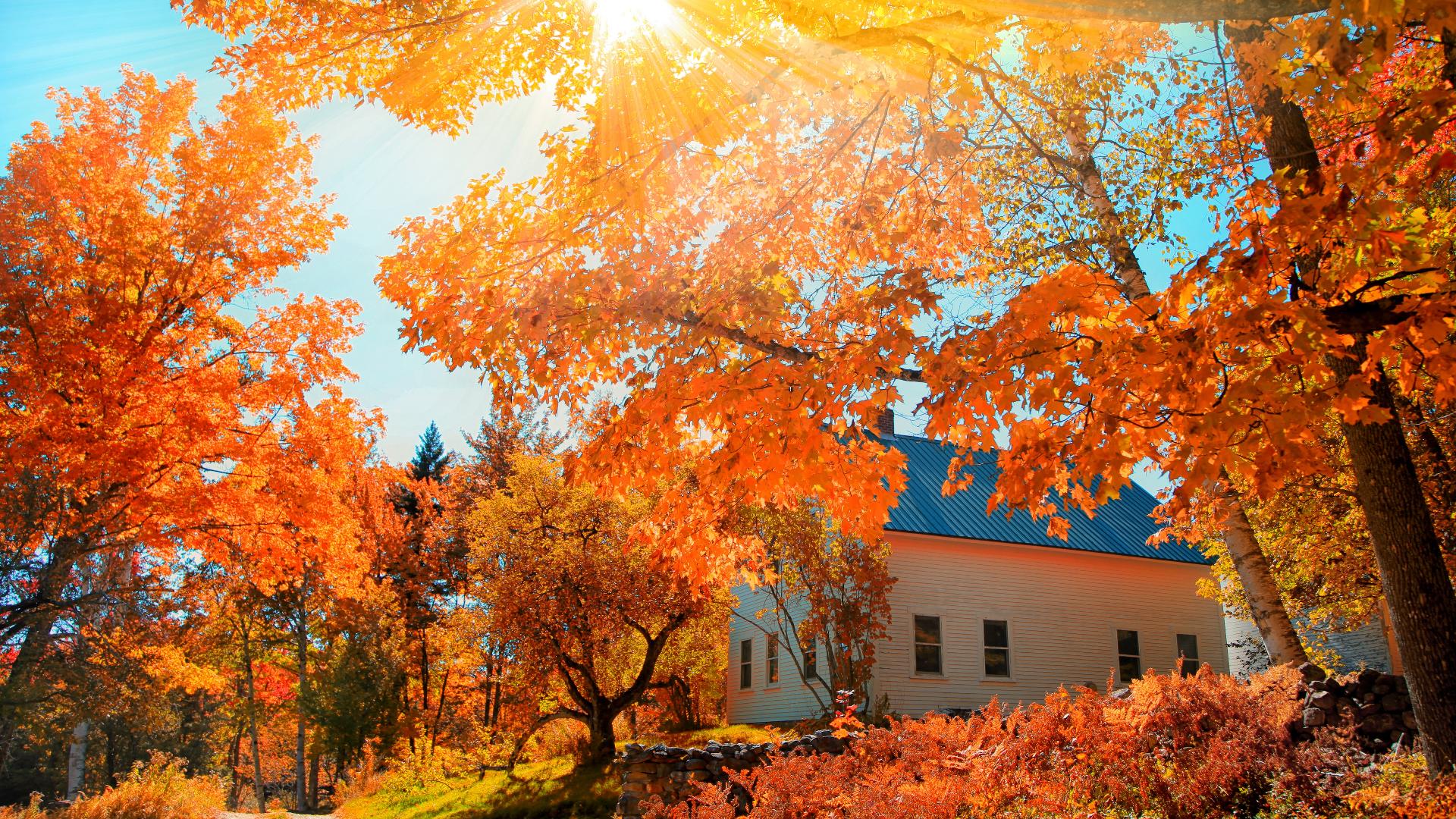 Where can I see fall foliage in Florida? | wtsp.com