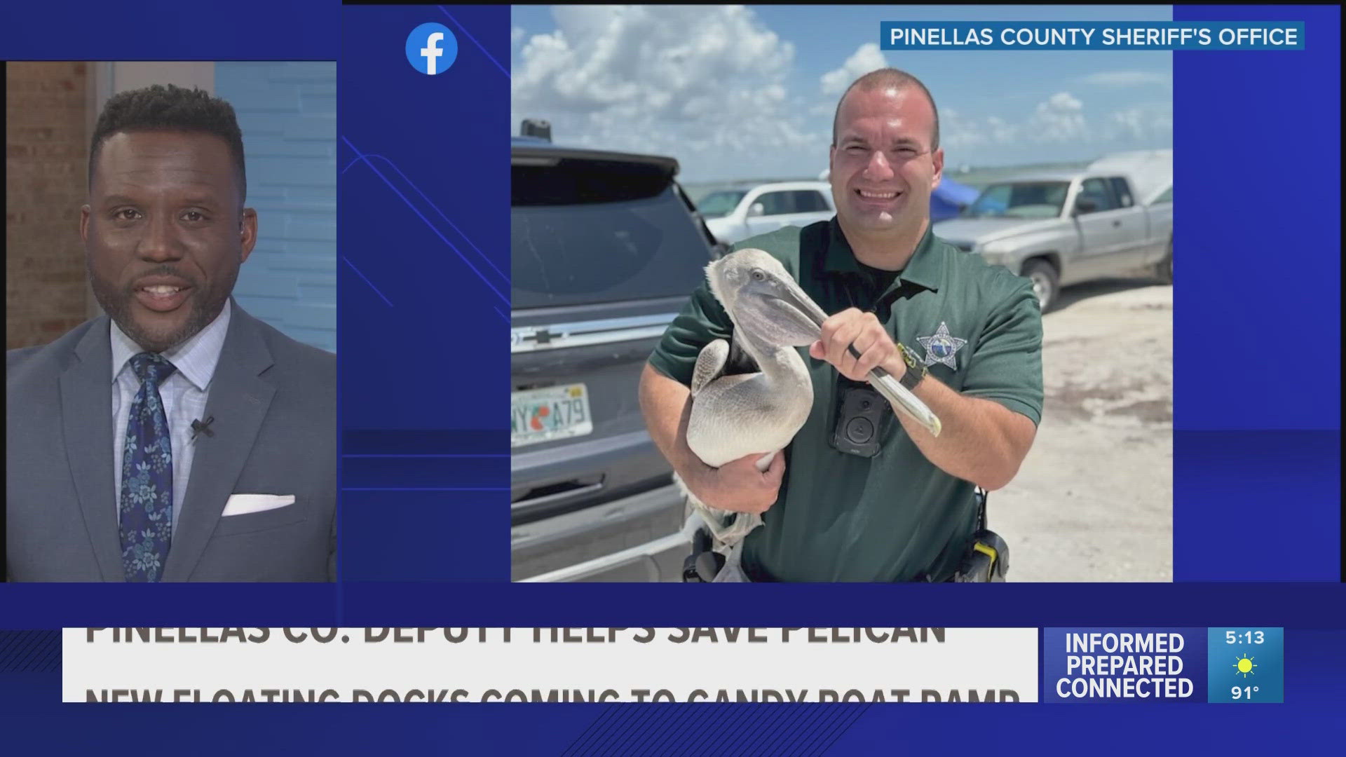 Pinellas County deputy rescues injured pelican near Dunedin Causeway ...