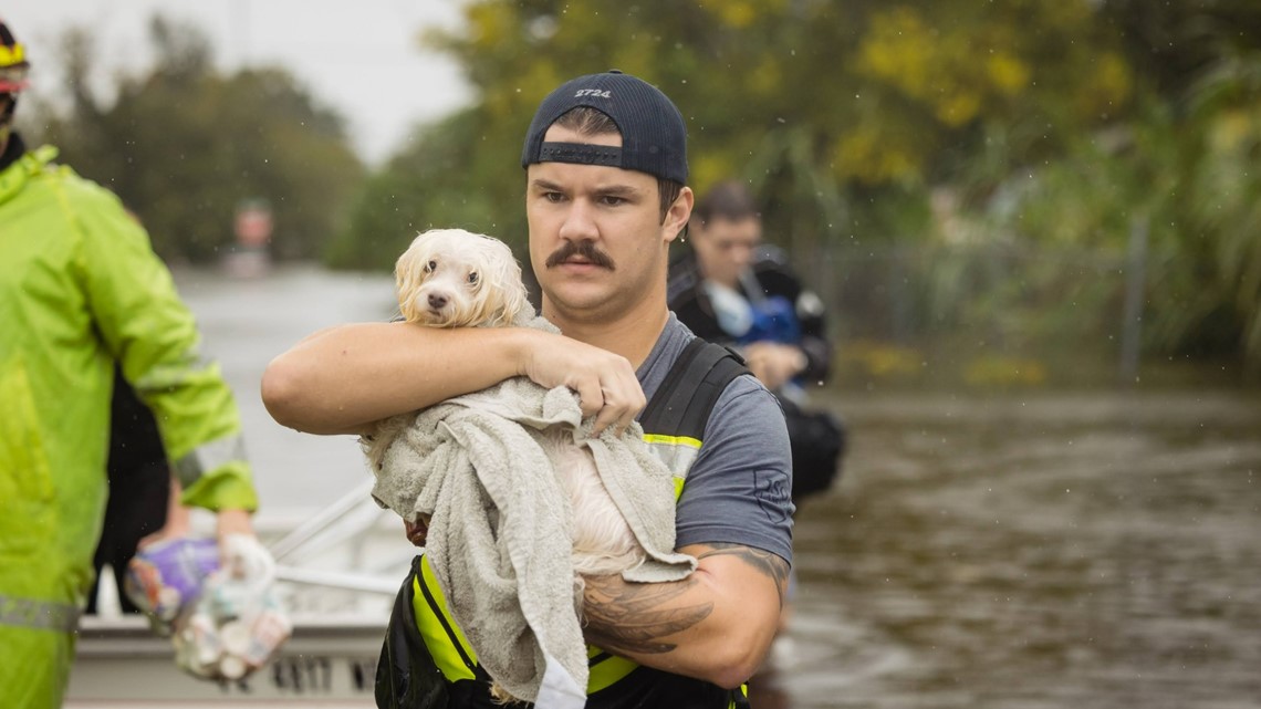 Pets and owners rescued from flood waters after Hurricane Ian | wtsp.com