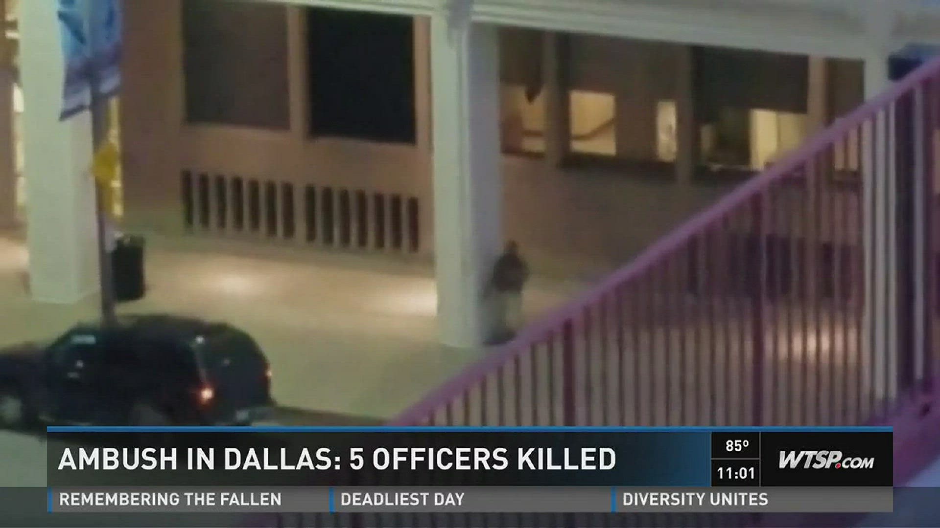 What we know | Deadly Dallas police ambush | wtsp.com
