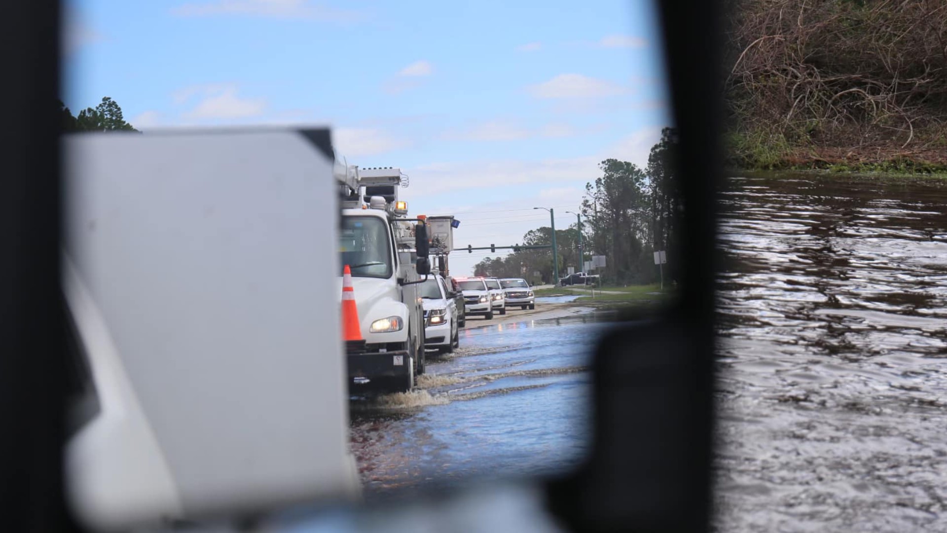 Sarasota begins recovery phase after Ian leaves downed trees | wtsp.com