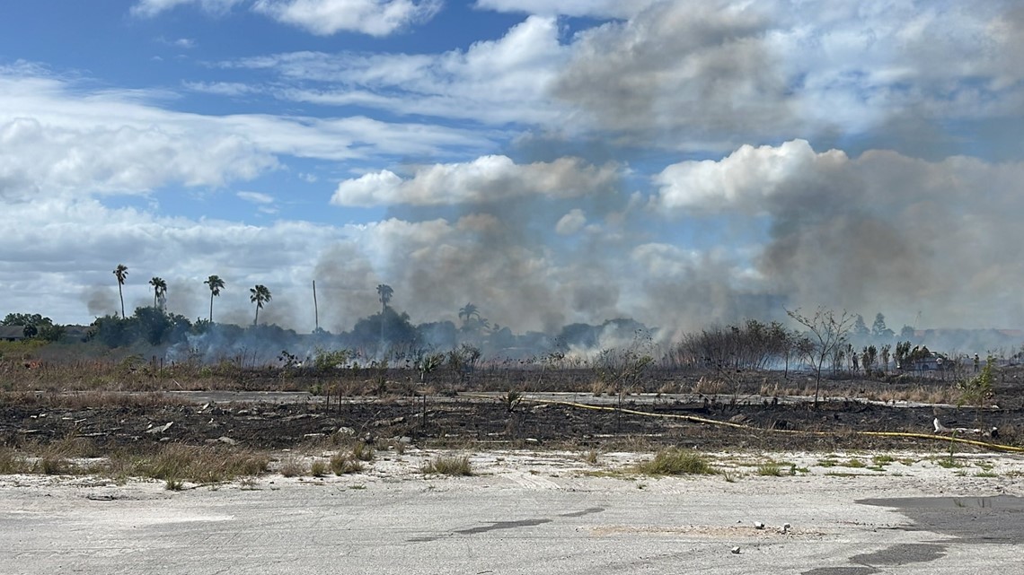 Wildfire breaks out on West Shore Boulevard in Tampa | wtsp.com