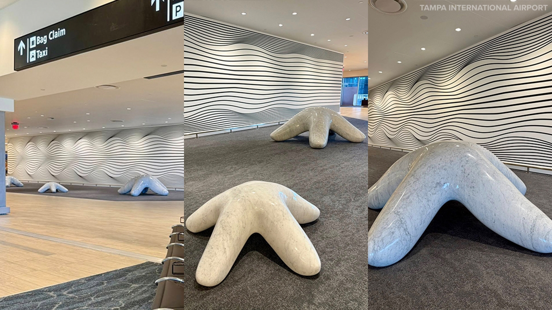 Tampa International Airports adds 3 massive, marble starfish in new art ...