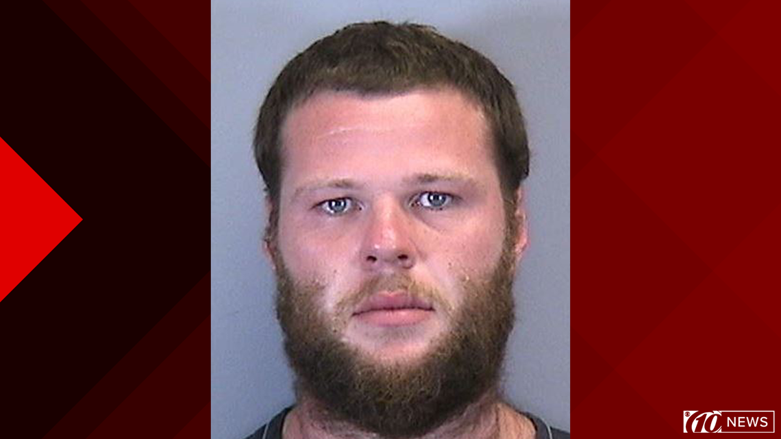 Police arrest man accused of hit-and-run crash that sent car flying ...