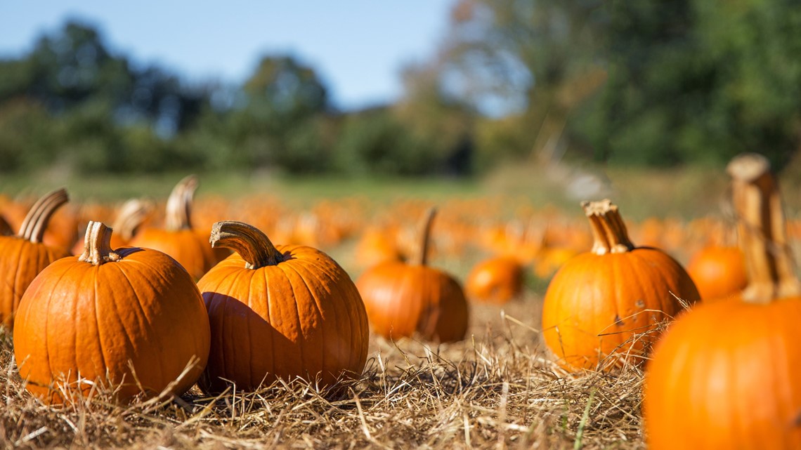 Florida fall weather with autumn equinox starting Monday | wtsp.com