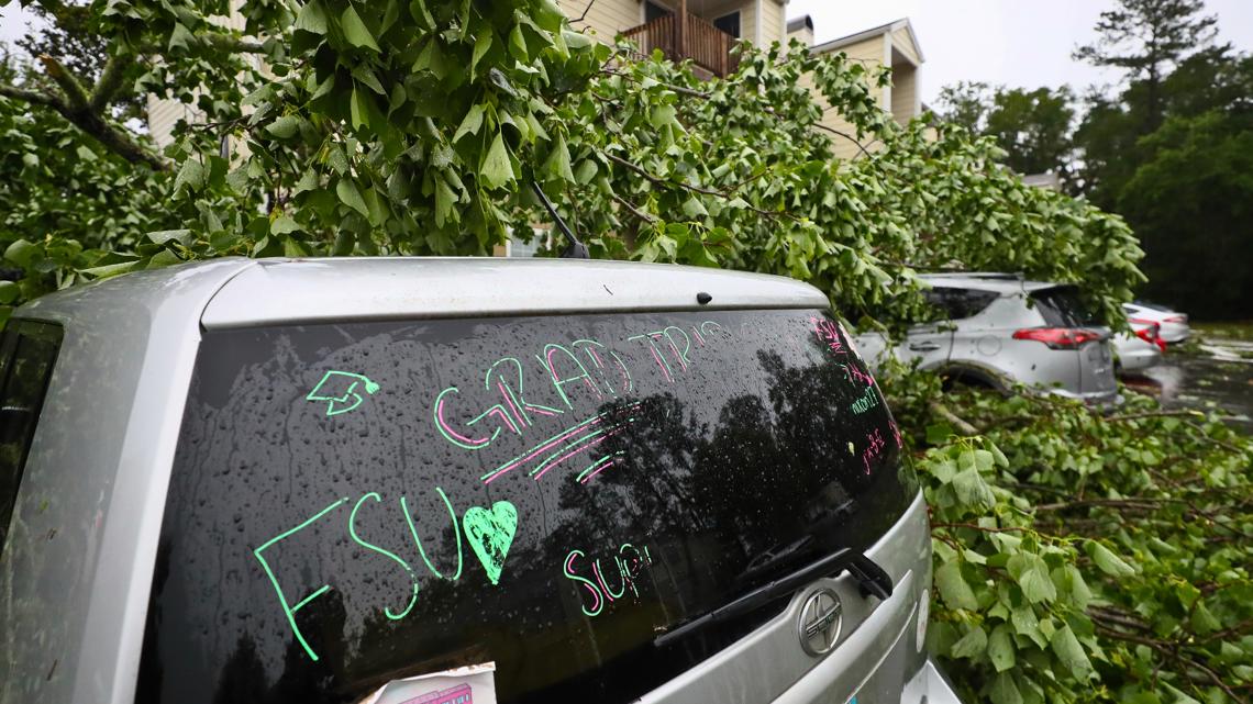 Watch | 10 Tampa Bay Live and On-Demand Videos | Tampa, Florida | wtsp.com