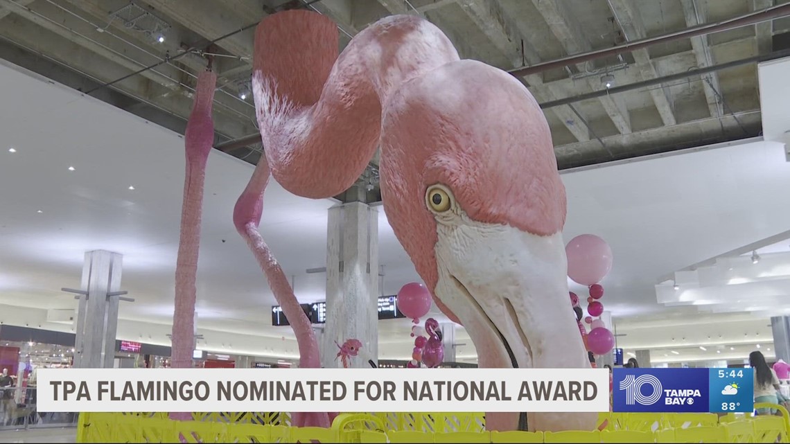 TPA's large flamingo statue 'Phoebe' competes for title of top public ...
