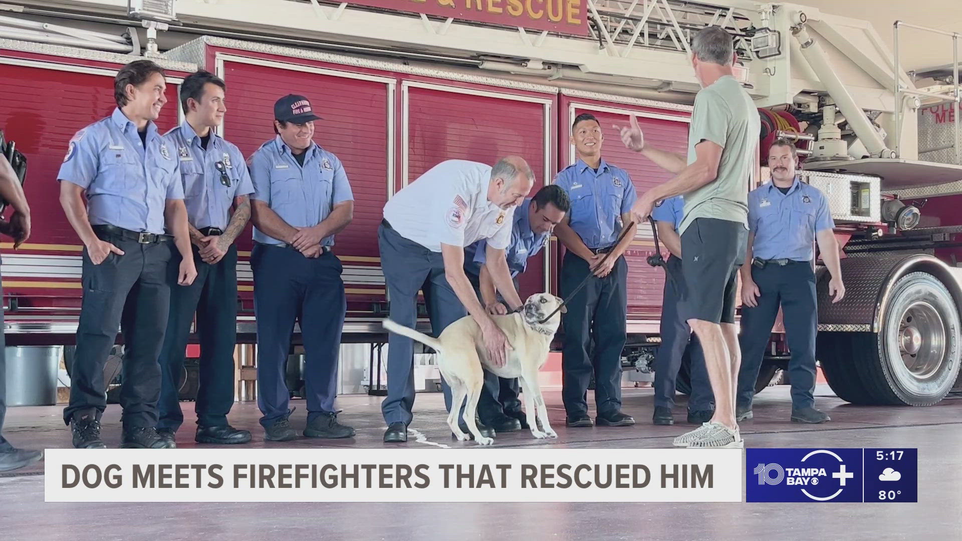 BKC Glance | wtsp.com