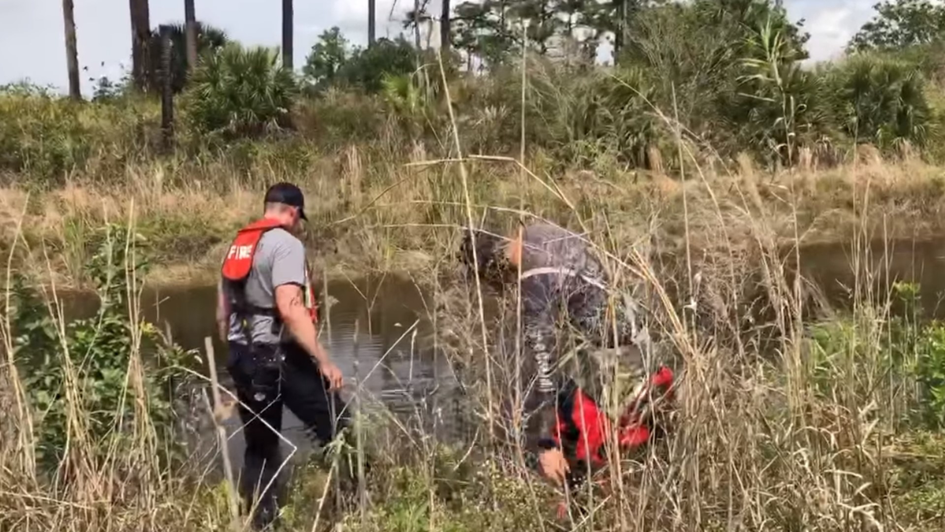 Human arm found in gator's mouth inside Florida nature preserve | wtsp.com