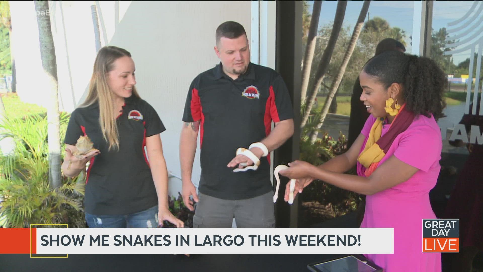 Show me Snakes this weekend in Largo | wtsp.com